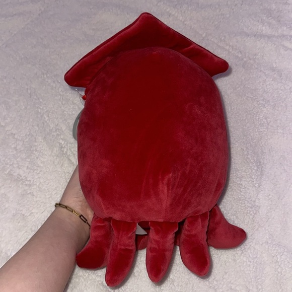 Squishmallows | Other | Nwt Squishmallow 8 Altman The Squid | Poshmark